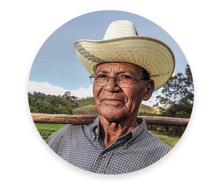 The farm – Suriname Pigfarms